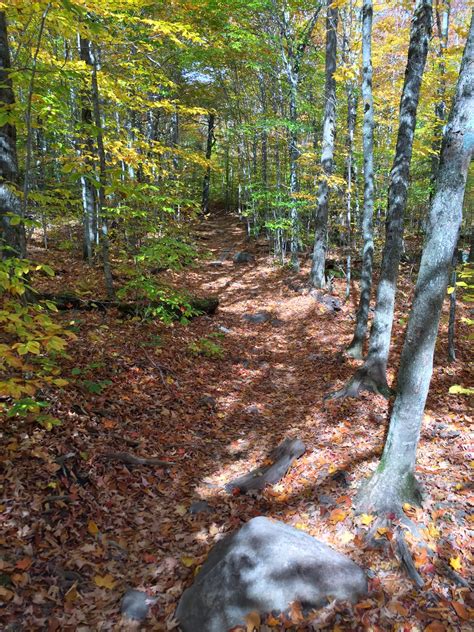 Njny Hikes Adirondacks Sno Bird Camping Via Adk Loj