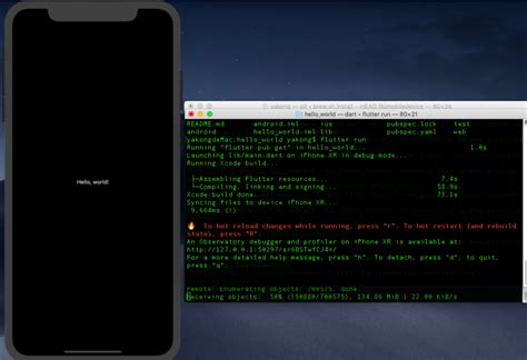 Flutter for iOS模拟器环境搭建 我来乔 博客园