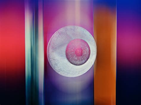 How Bionic Eyes Can Restore Vision And Help Blind People See
