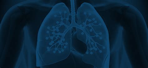 Pulmonary Function Lab In St Albert Comprehensive Respiratory Testing
