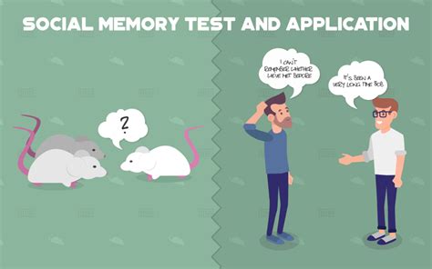 Social Interaction Tests In Mouse Models Maze Engineers