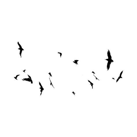 77 Photoshop Tree Elevation Ideas Photoshop Landscape Architecture Tree