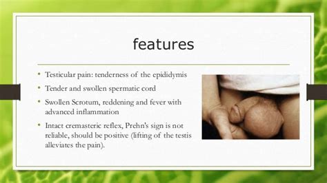 Inflammation Of Scrotum Skin Scrotal And Testicular Conditions Types