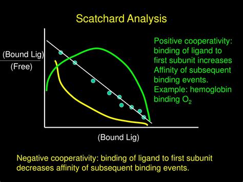Ppt Mcb Signal Transduction Lecture 1 Powerpoint Presentation Free
