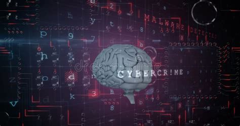 Animation Of Human Brain And Data Processing Over Black Background Stock Footage Video Of