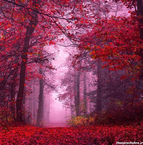 28 عکس از تصویر زمینه طبیعت با کیفیت بالا که حیرت انگیز است