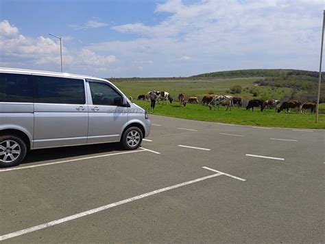 Пътнически превози Транспортни Хамалски Бургас Пътнически превози в цялата страна ек
