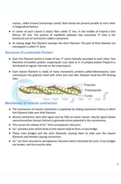 Cbse Class 11 Biology Locomotion And Movement Notes