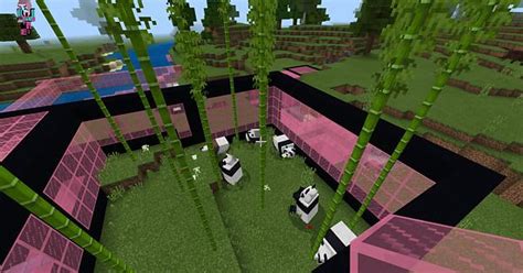 Panda Enclosure Album On Imgur