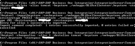 Sap Business One B1i Ssl Integration Installation Details Battleship Cobra