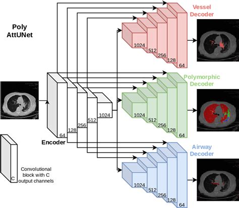 Figure 1 From Medpseg Hierarchical Polymorphic Multitask Learning For