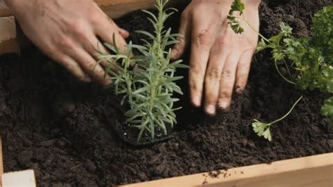 How To Build A Wooden Flower Planter Best Flower Site