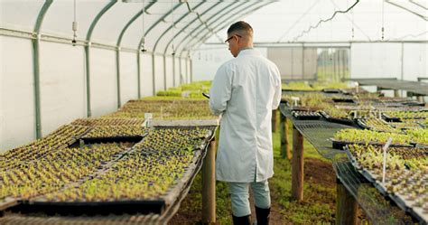식물학자 농업을 위한 인간 및 온실 정제 및 과학을 위한 연구 식물 또는 야채 과학자 등 또는 농부 정원의 생태학을 위한 기술 연구 잎 및 식품 실험에 대한 보육원 연구에