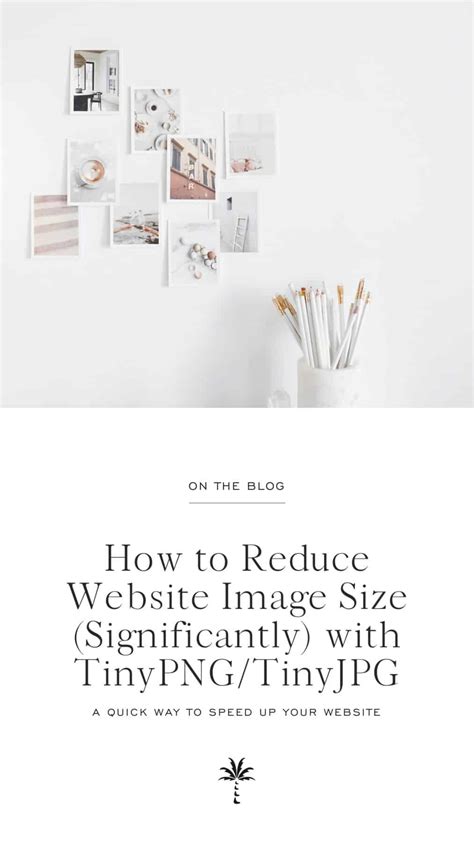 How To Reduce Website Image Size Significantly With TinyPNG TinyJPG Davey Krista