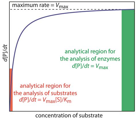 Enzyme Reaction Equation At Jeramy Phillip Blog