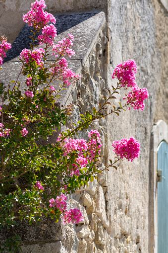프로방스내용과 생활 프랑스 주택과 작은 Medirval 마에서 건축 0명에 대한 스톡 사진 및 기타 이미지 0명 거리 건축물 Istock