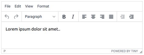 Hide Statusbar Issue 24 Tinymce Tinymce Webcomponent GitHub