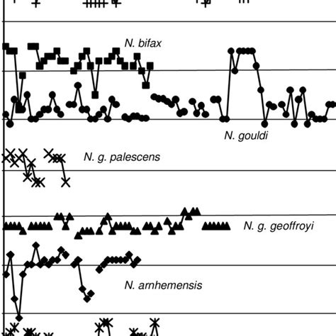 Search Mode Call Sequence Data For Six Nyctophilus Species Individual Download Scientific
