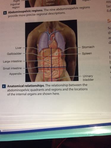 Exam Lab Flashcards Quizlet Exam Lab Flashcards Quizlet