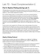 Yeast Complementation Protocol Replica Plating Course Hero