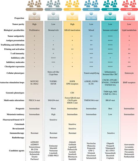 Gene Interaction Perturbation Network Deciphers A High Resolution Taxonomy In Colorectal Cancer