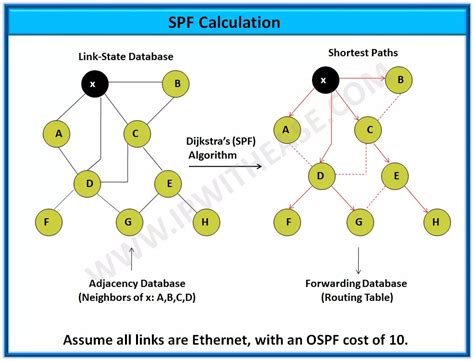 Ospf Packet Types The Ultimate Guide Ip With Ease
