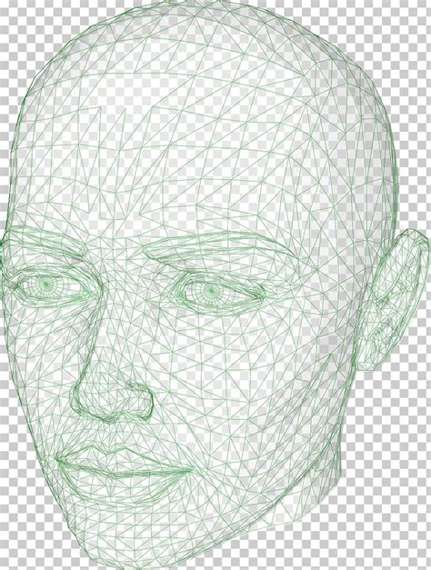 Wire Frame Model Website Wireframe Sketch Png Clipart 3 D Bone