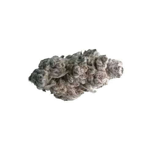 Sex Panther Flower Sativa 48 Thca High Potency