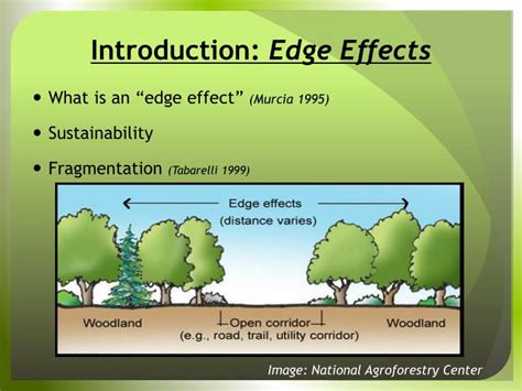 Define Edge Effects At Nathan Lozano Blog