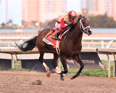 Kentucky Derby 2026 Top Contenders For 152nd Race At Churchill Downs
