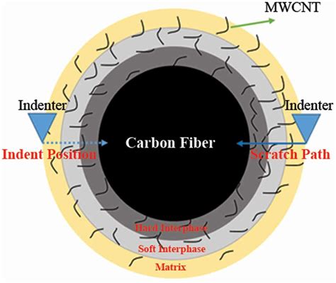 Characterization Of The Interface And Interphase Region In The Multi Walled Carbon Nanotube