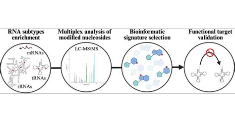 Mass Spectrometry Based Pipeline For Identifying Rna Modifications Mark Hilliard