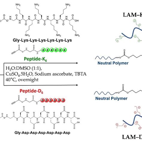 Schematic Representation Of The Chemical Route Used To Couple The Download Scientific Diagram