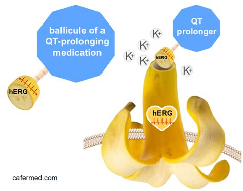 Guide To Qt Prolonging Medication How To Manage And Remember The Culprits With Visual Mnemonics