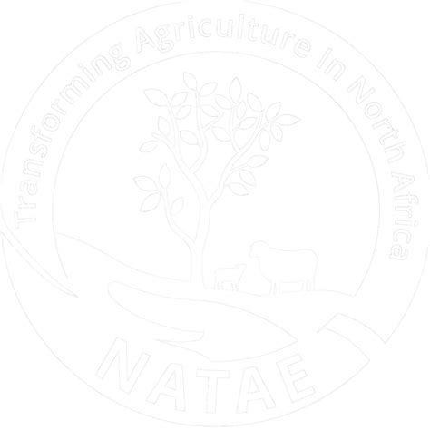 Internal Support Hub Natae