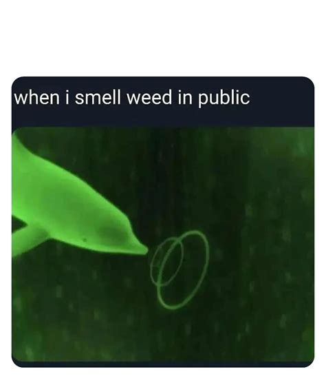 Double Tap To Edit Robinhoodprinceofmemes Memes