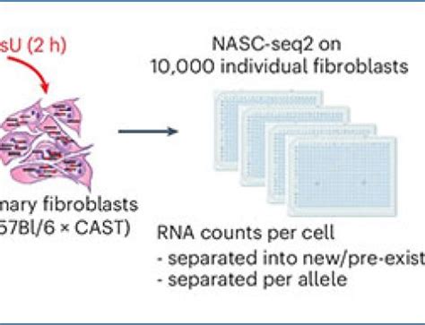 Funpat Function Based Pattern Analysis On Rna Seq Time Series Data