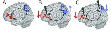 The Condition And Perturb Approach Schematic Illustration Of