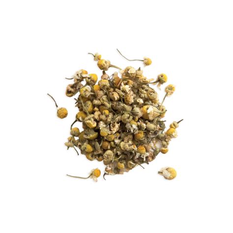 Chamomile Hosnaexport