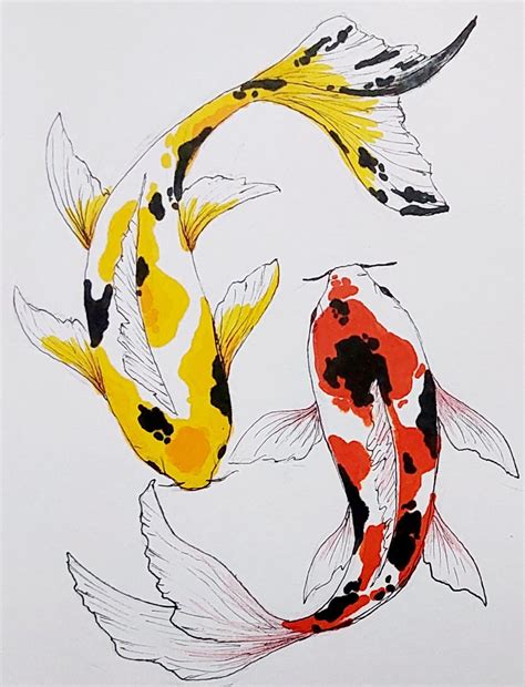 Koi Fish Artofit
