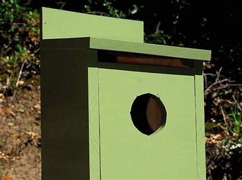 11 Free Diy Barn Owl Box Plans You Can Make Today With Pictures House Grail