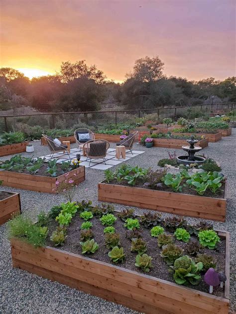 Building Raised Bed Garden Layout