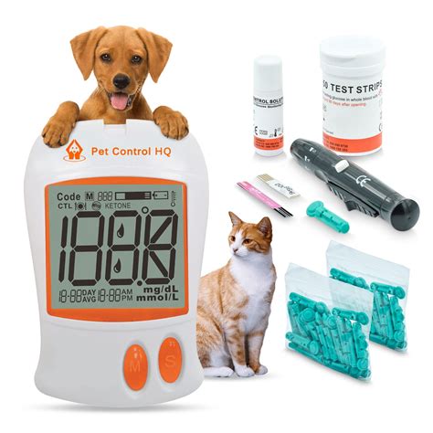 The 16 Best Cat Glucometers For Purrfect Monitoring