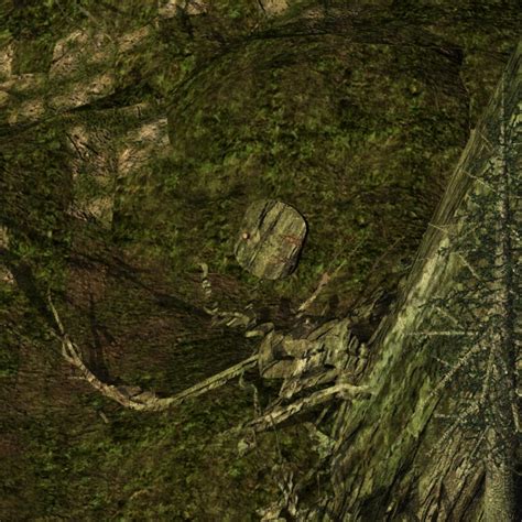 Forest Of Tethir Cave Baldurs Gate Wiki Fandom