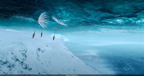 Momoko Seto Planets Című Filmje A 2025 ös Kritikusok Hete Zárófilmje