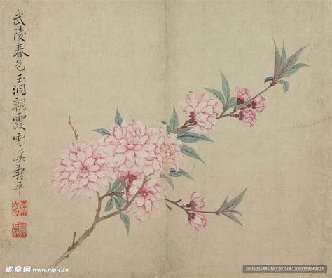 中式桃花工笔画设计图广告设计广告设计设计图库昵图网