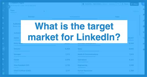 What Is The Target Market For Linkedin Anyleads
