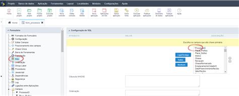 Resolvido Campos Definidos Como Label Formulários Scriptcase Low Code