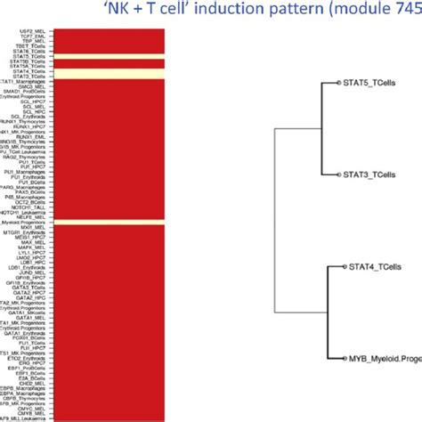 A Overrepresented Regulators Determined Using Gsca Left And C Gsca