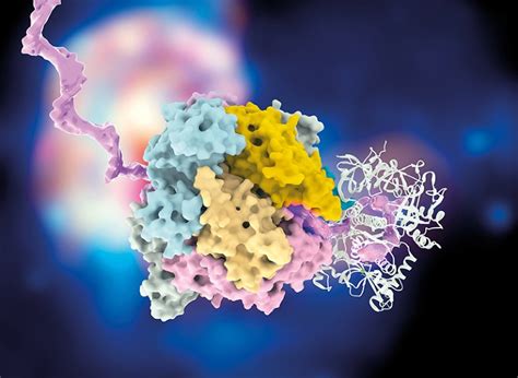Research Round Up Extracellular Rna